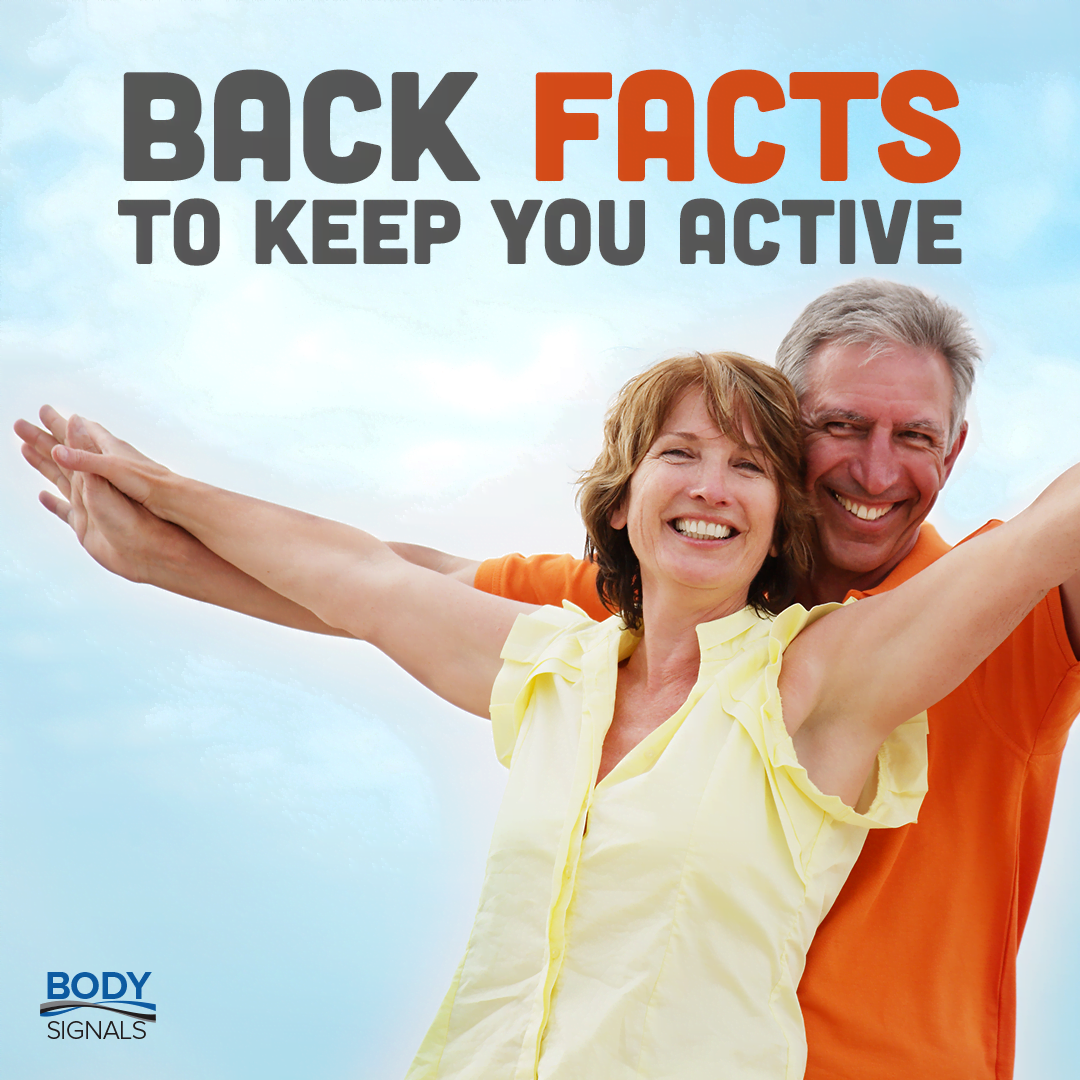 Back Facts to Keep You Active - Family Chiropractic Chatswood